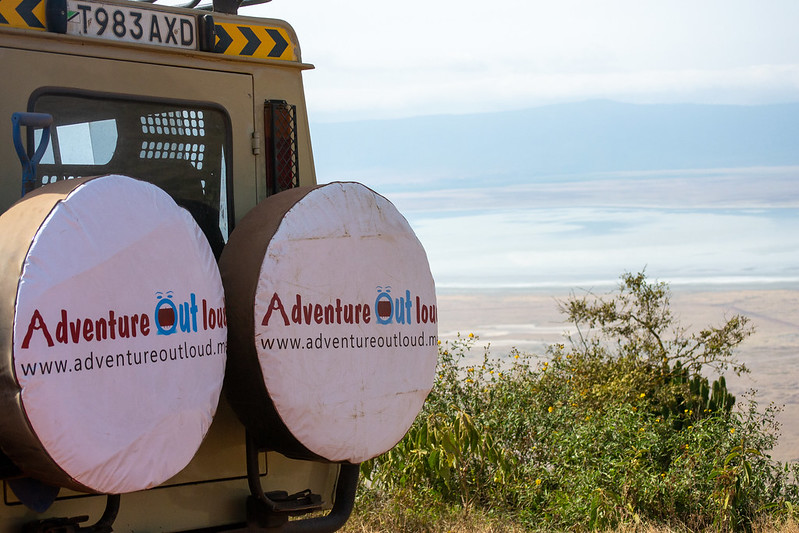 A Comprehensive Guide to Safari in East Africa